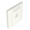 1port Faceplate, Shuttered Single Gang